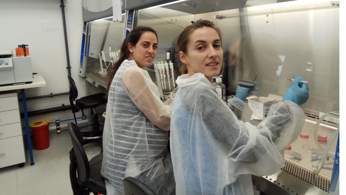 Rambam Health Care Campus - The Zuckerman and Reshef Lab